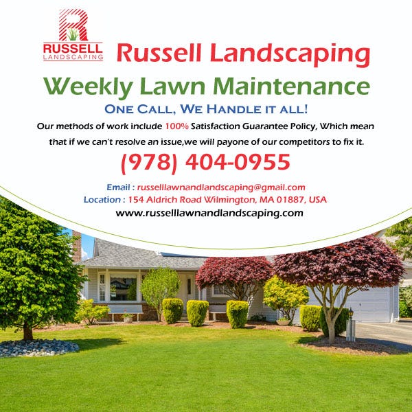 Lawn Maintenance. Proper take care of everything which we… | by ...