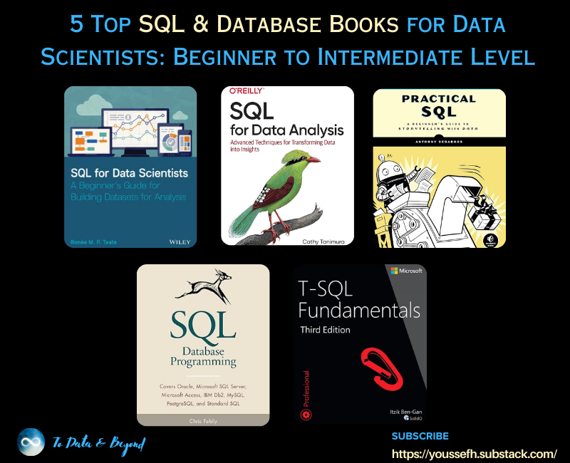 Building Multimodal RAG Application #1: Introduction | by Youssef Hosni | To Data & Beyond | Medium