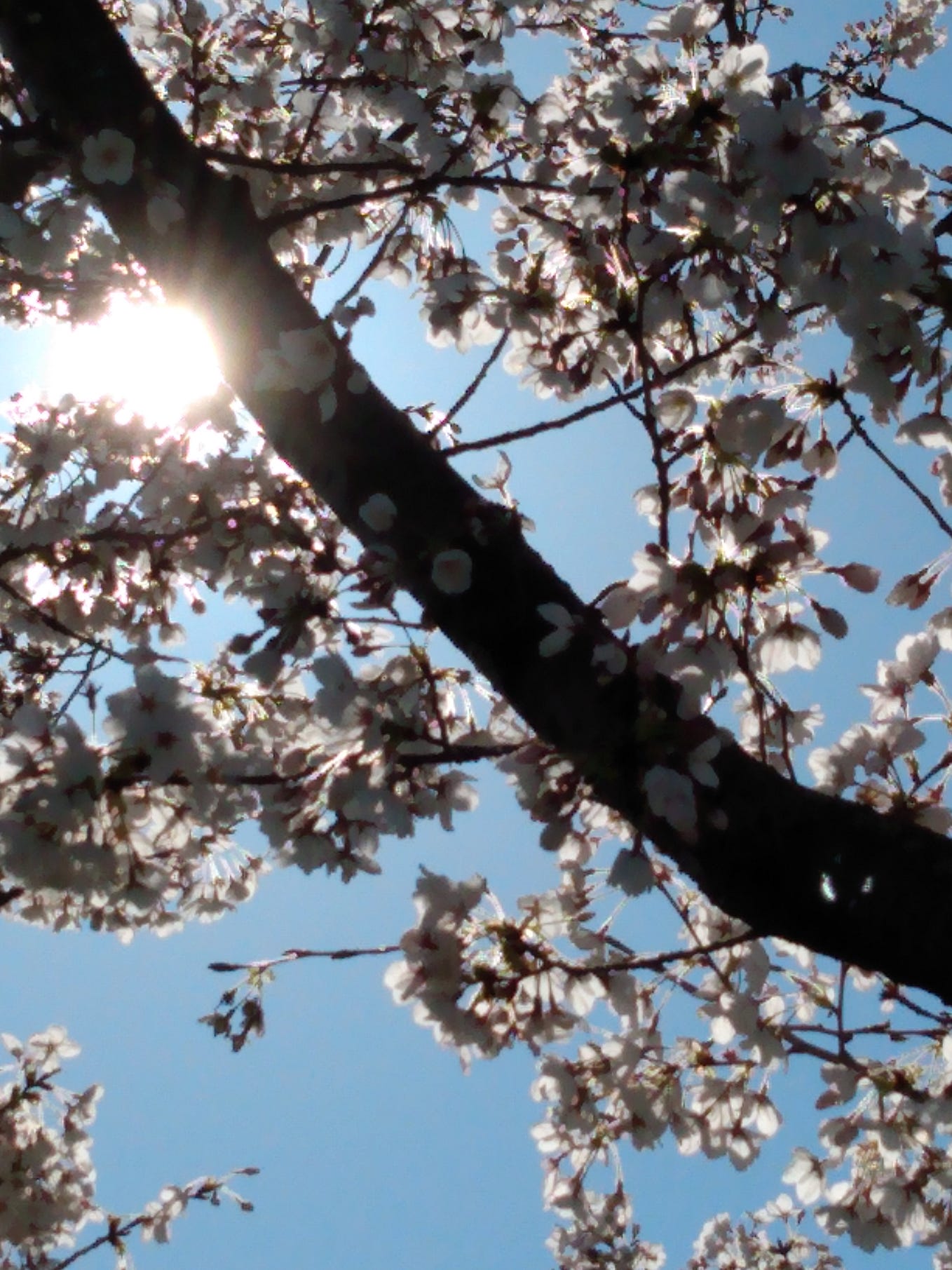 Spaces of A Thought Save - Renée Elizabeth Winfield - Medium