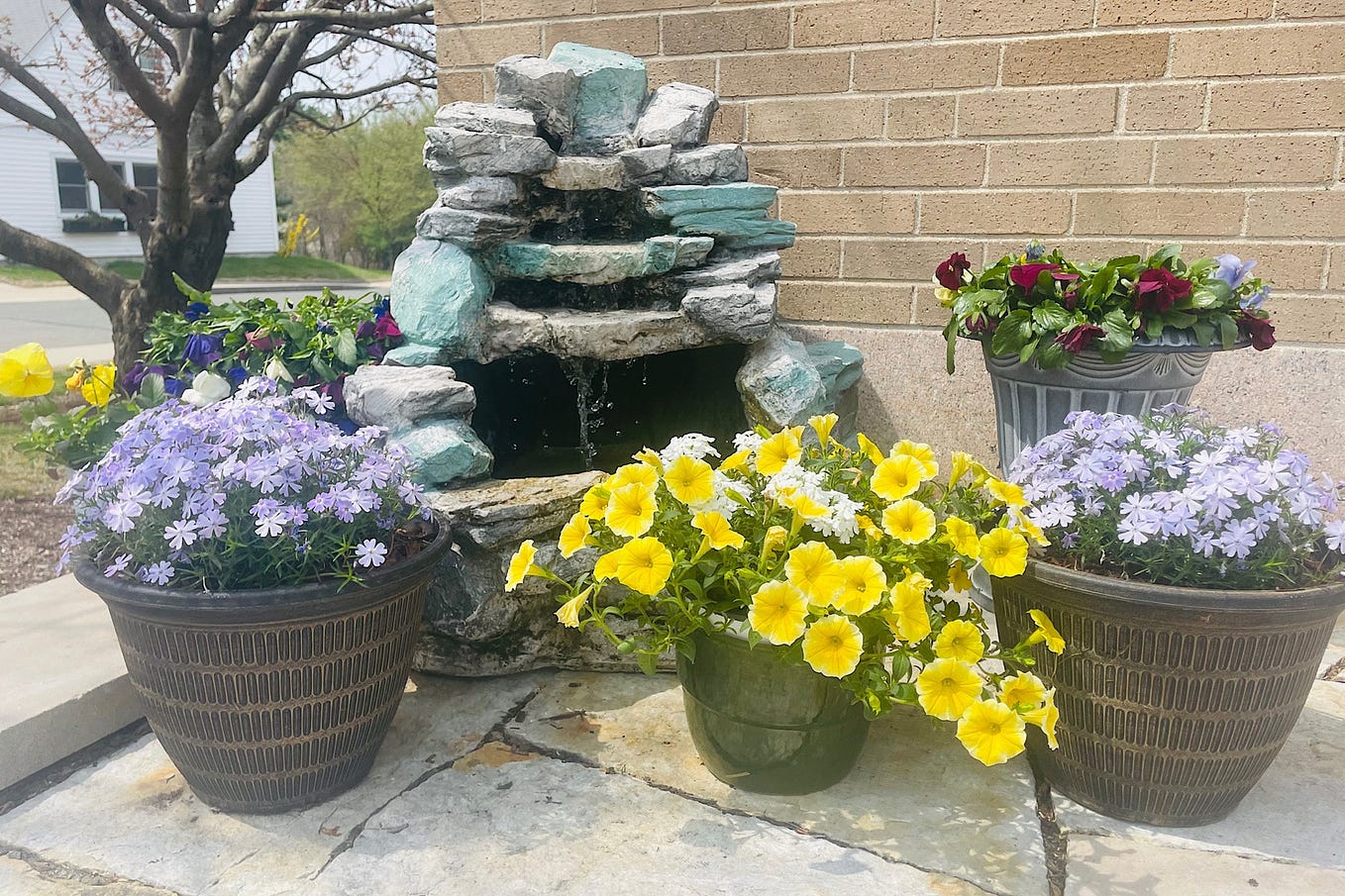 He Defied the Odds!. Little Grayson Kole Smith was born in… | by fran ...