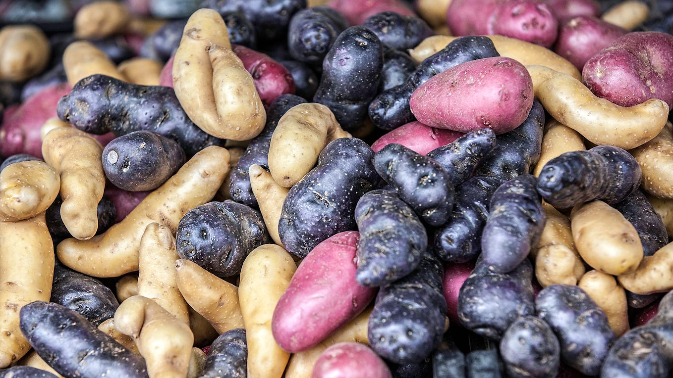 Writing Type-Safe JavaScript … In JavaScript | by Ken Howard | TypeScript Tips | Medium