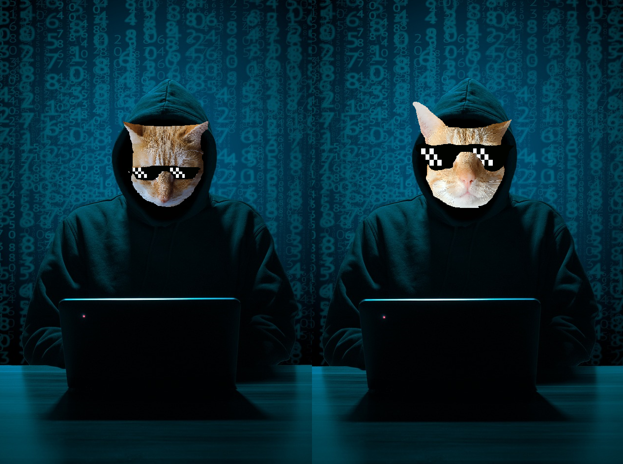 Cyber Security Topics in my CCNA Journey — Part 18: Advanced Access ...