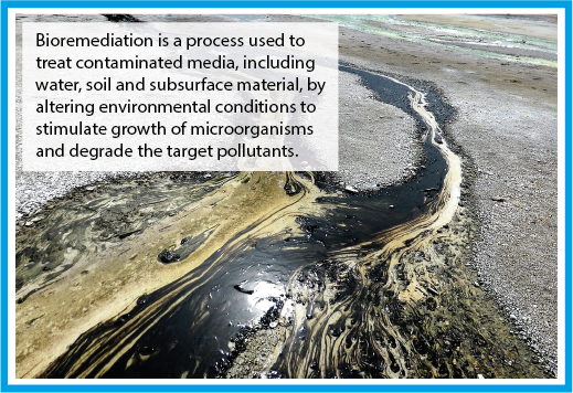 Working with Excel in Python: Transpose rows and columns | by Ugur Comlekcioglu (PhD) | Medium