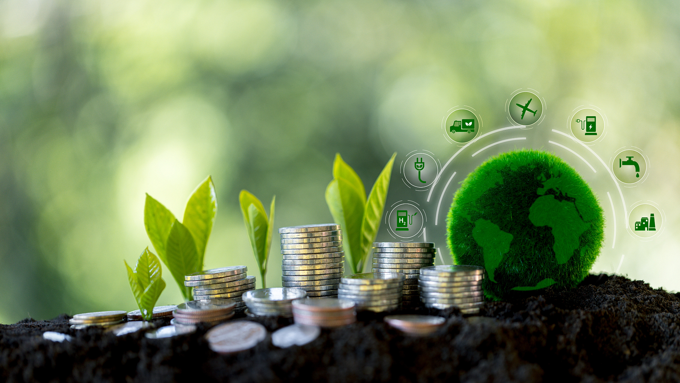 Is a “Zero-Waste” Lifestyle The Answer To Combatting Climate Change ...