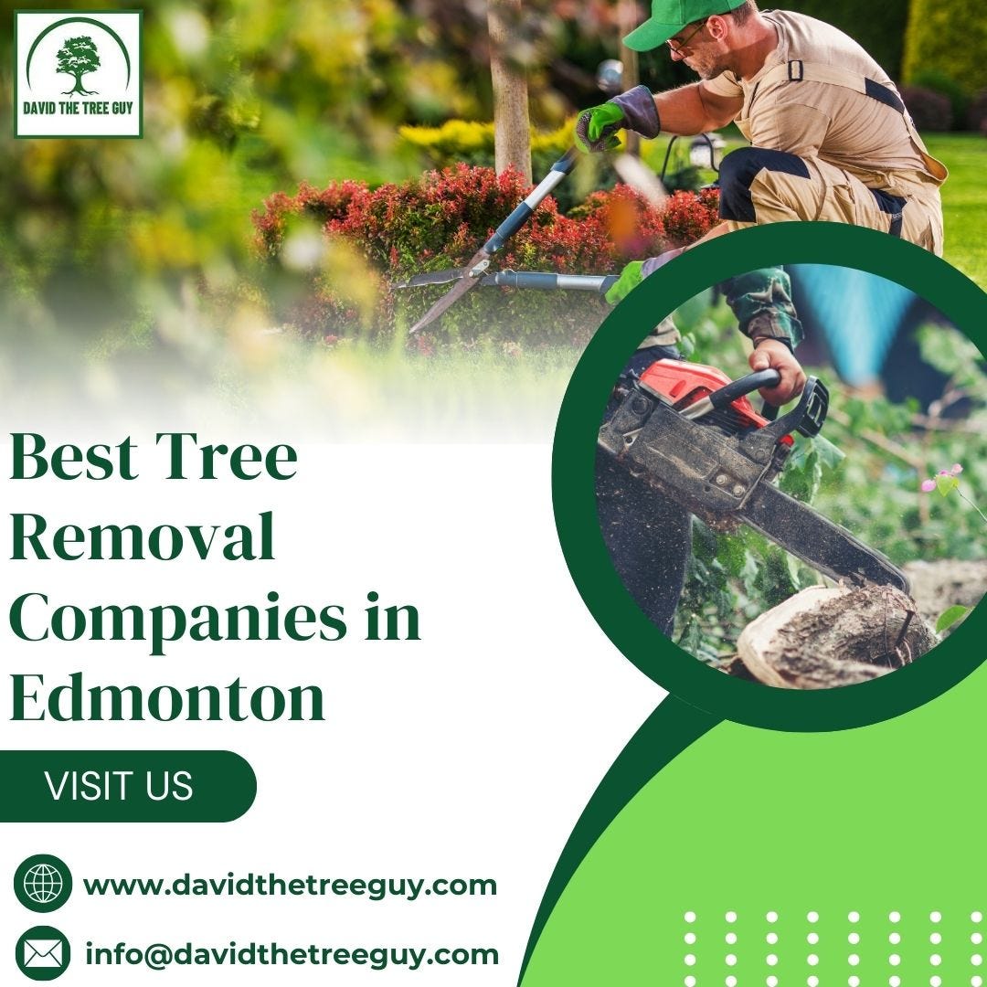 Best Cutting Trees in Edmonton - David The Tree Guy - Medium
