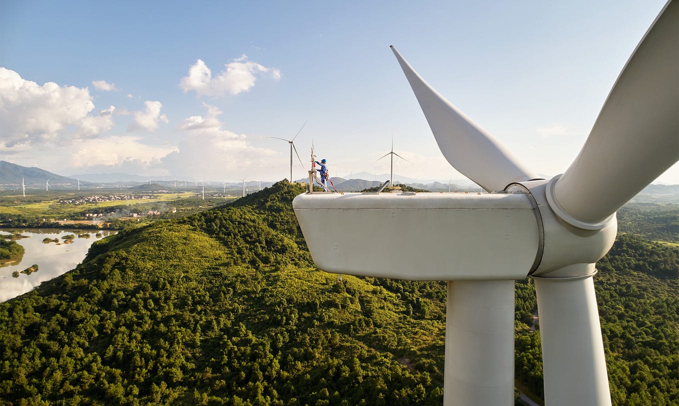 Why Apple Is Permanently Protecting Working Forests | by Lisa P ...