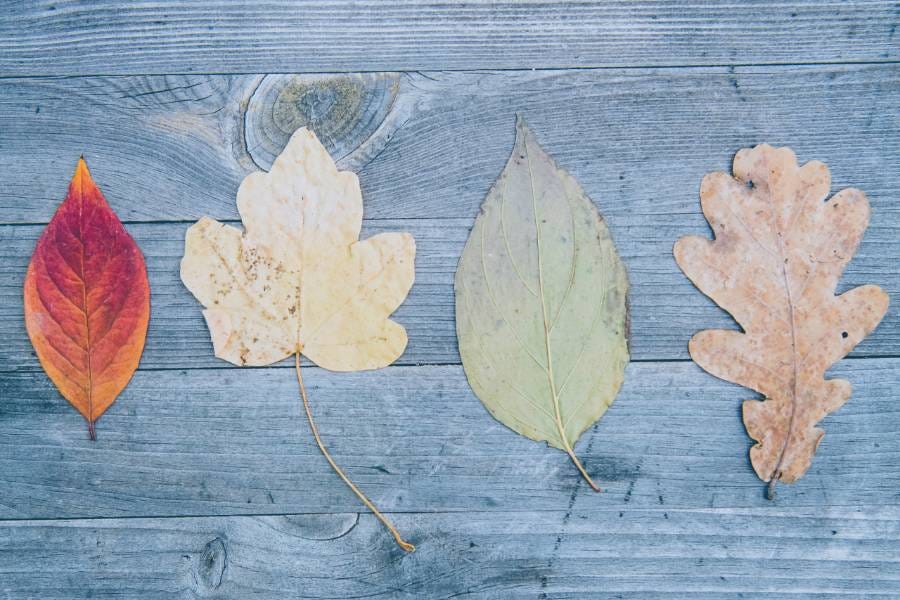 DesktopInfo — Conky for Windows - Pravin Paratey - Medium