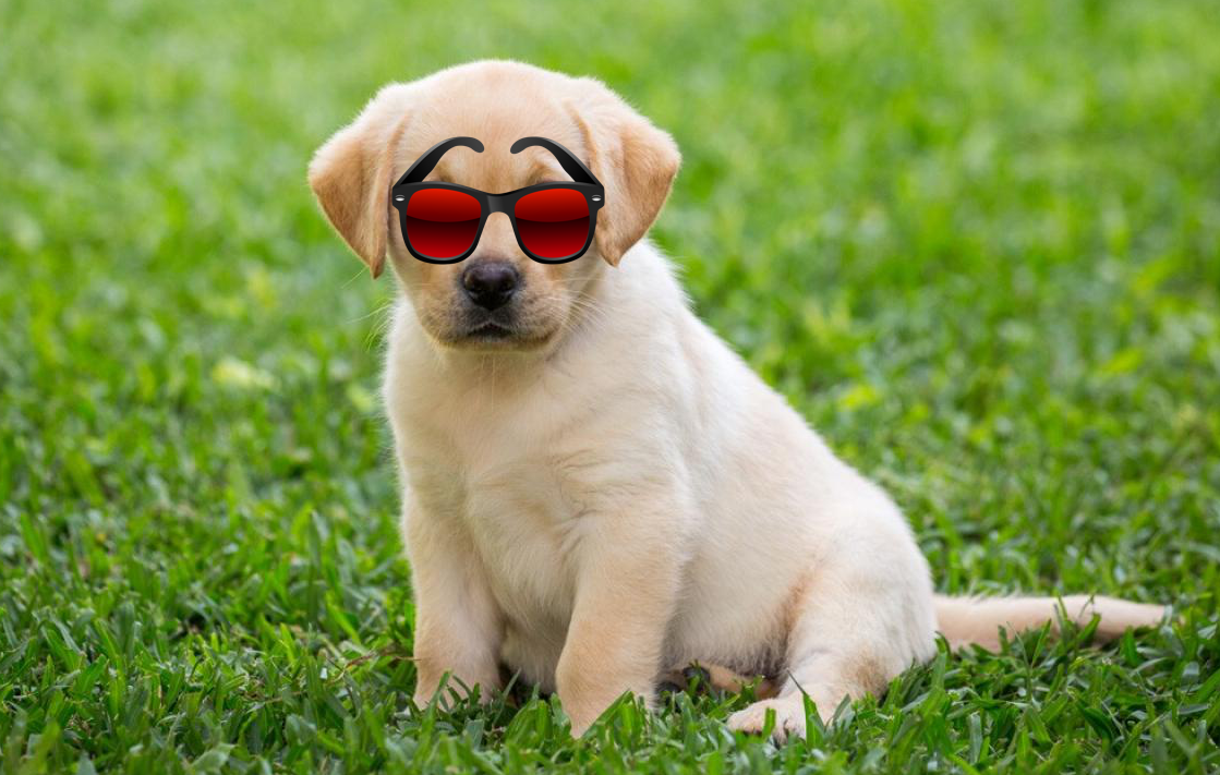 Netflix Case Study: Unleashing the Power of AWS Cloud for Unparalleled ...