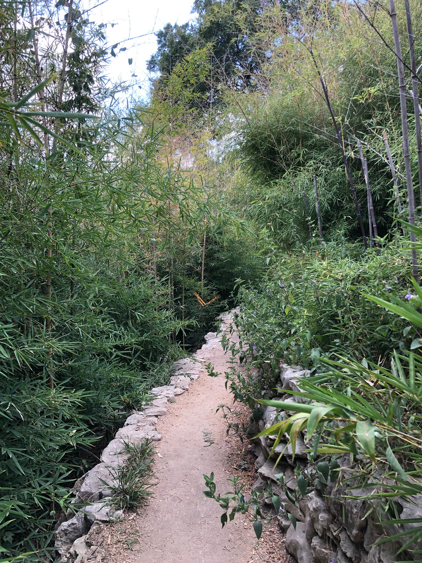 Catching Up. Hi, from Austin, TX | by Ashlyn King | Medium