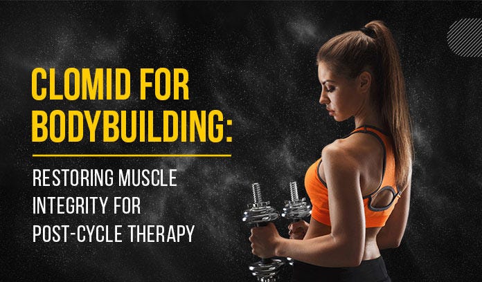 Sculpting a Powerful Chest: The Ultimate Workout for Pectoral Muscles ...