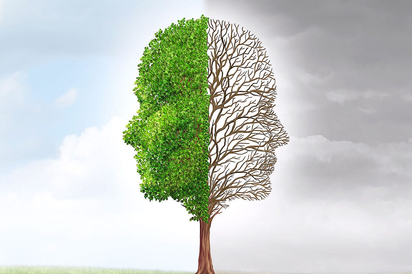 10 Effective Ways to Prioritize Your Life for Optimal Well-Being | by ...
