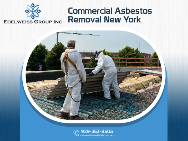 Commercial Asbestos Removal New York - Edelweisskhustinc - Medium