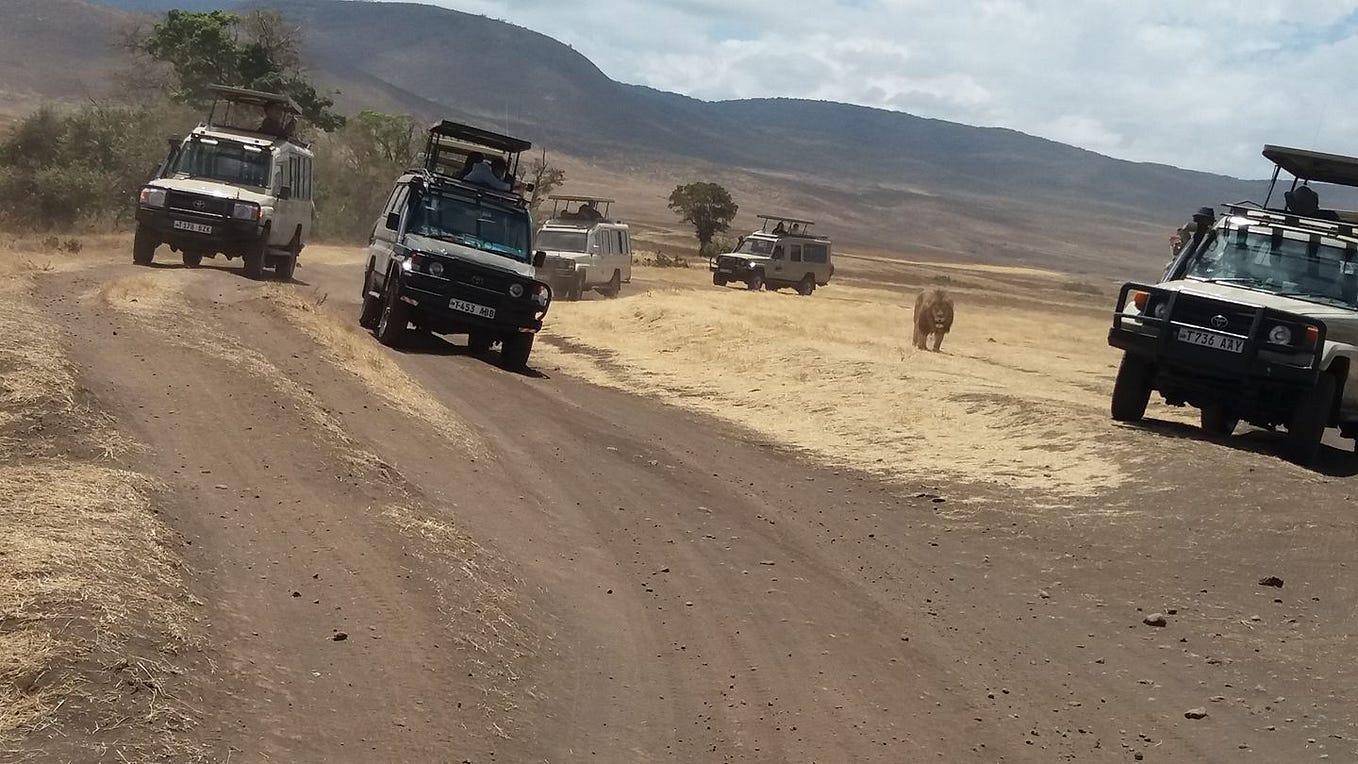 Tanzania National Park Tour Packages will Make Safari Tour More ...