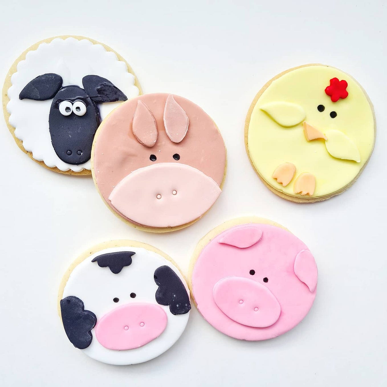 Celebrate your beloved ones born day with birthday cakes mornington ...