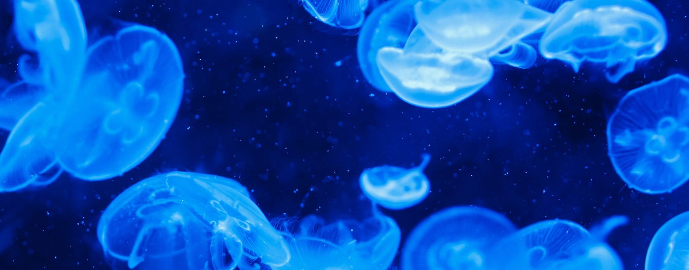 Integrating DropzoneJS with a JavaScript Image Cropper to Optimise Image Uploads | by Rik ...