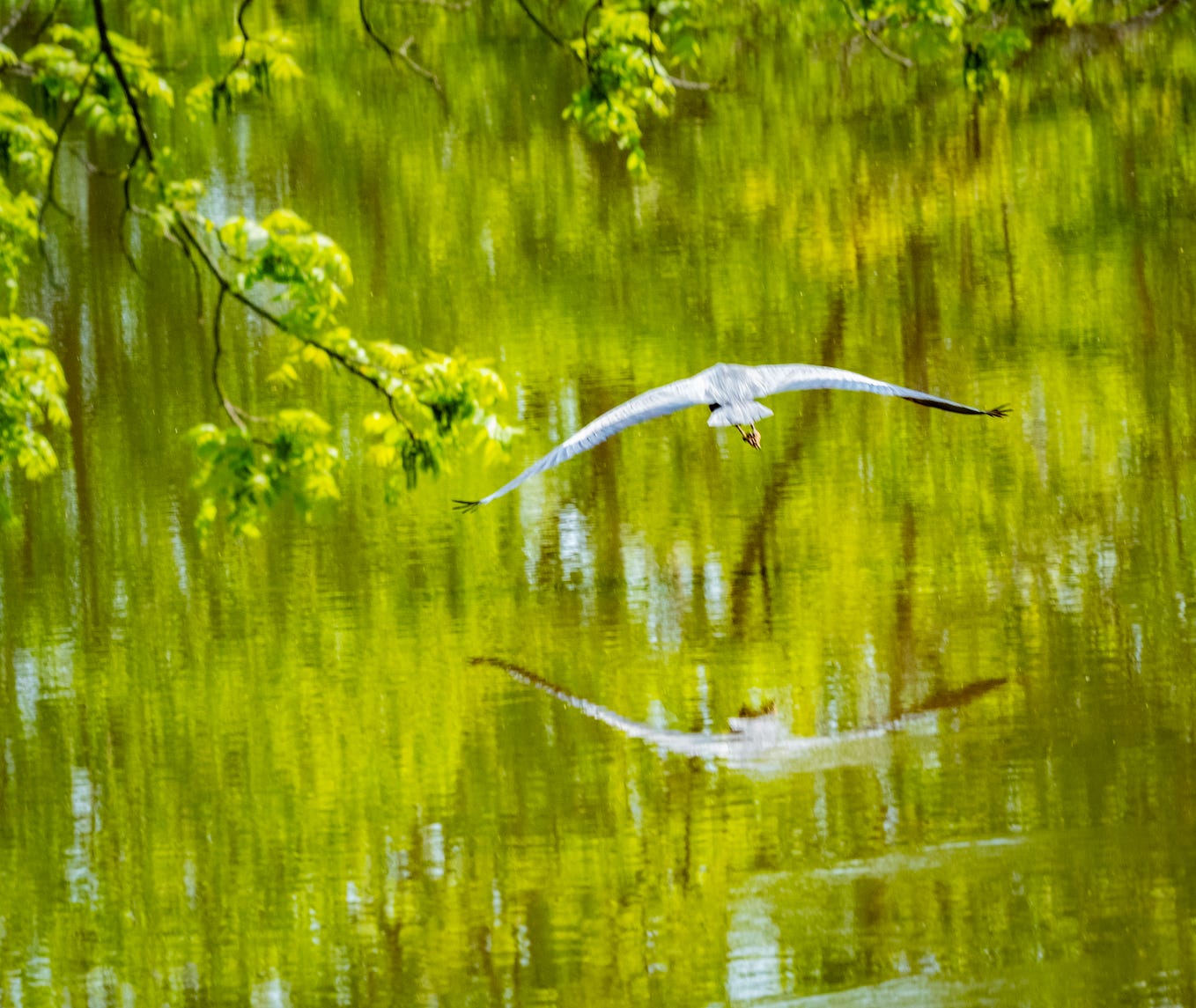 The Surreal Journey of Ernest and Winifred | by V. Plut | The Lark ...