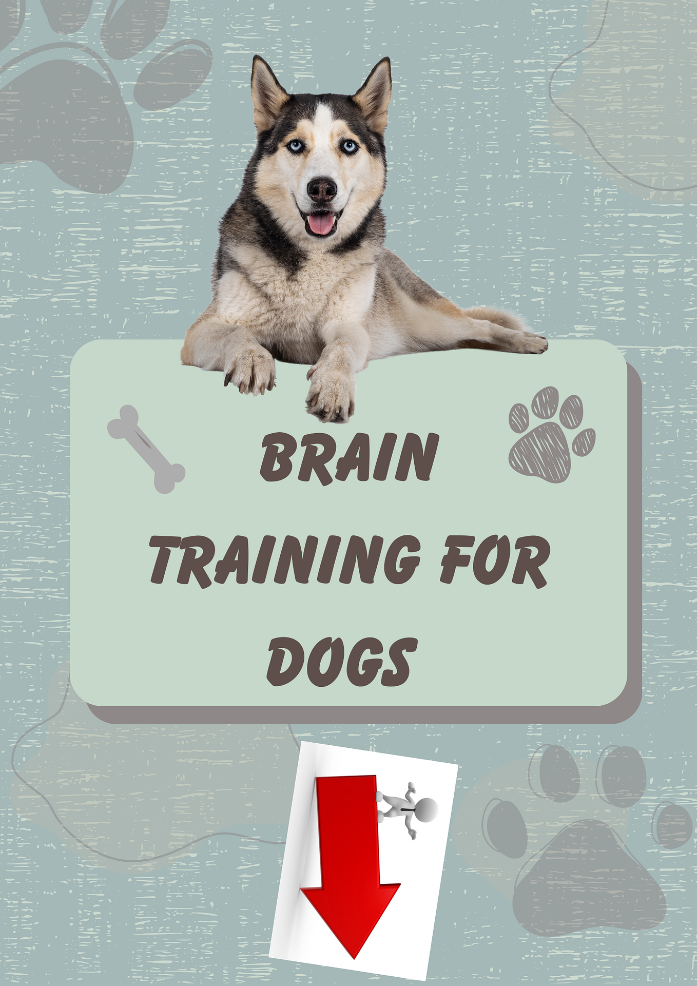 The Science of Dog Brain Training: Tips and Techniques - Dog Brain ...