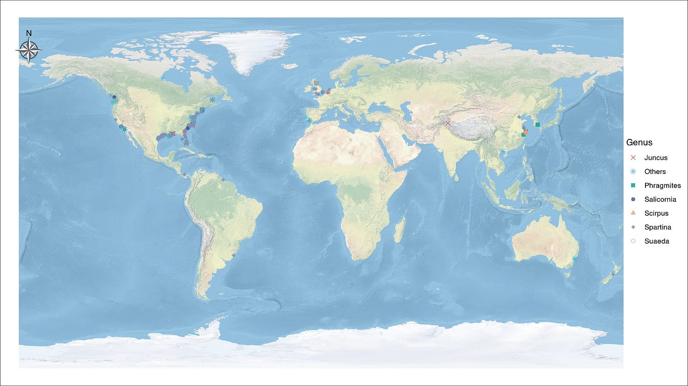 ggplot2 draws a simplified version of the heat map | by JunAnYan | Medium