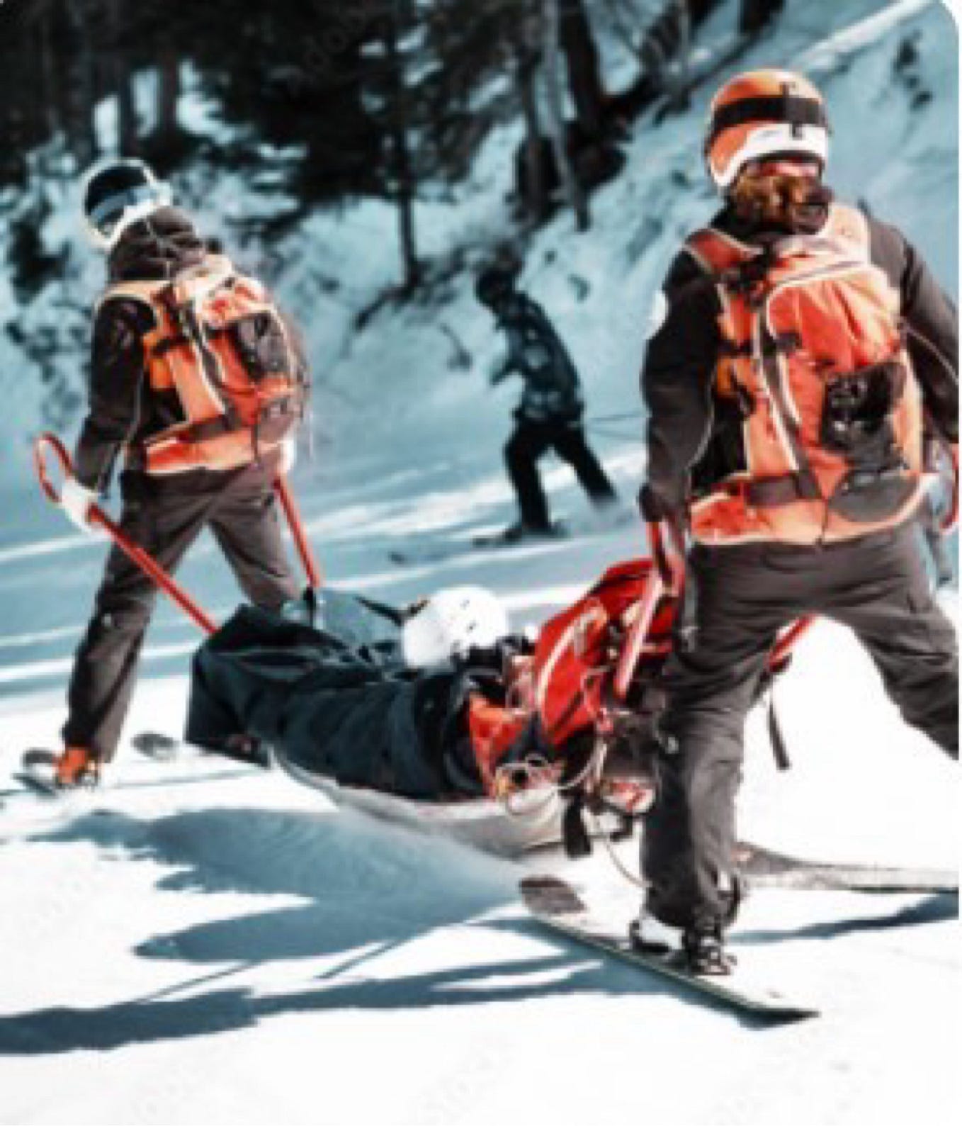 When Rescuers Become Victims: Scene Safety in Wilderness Emergencies ...