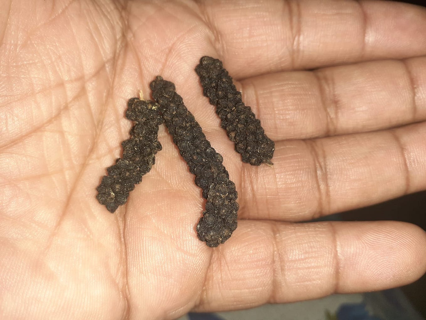 Majith Price in India what is price of Manjistha ( Rubia cordifolia ...