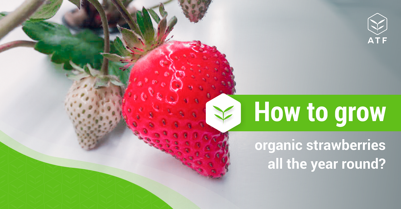 Bio VS Organic VS ATF. Dear members of the ATF community, | by ...