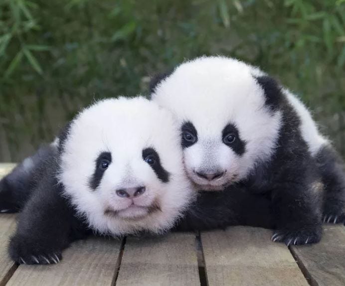 “Trabajando con Python: Cómo usar Visual Studio Code y Jupyter Notebook ...