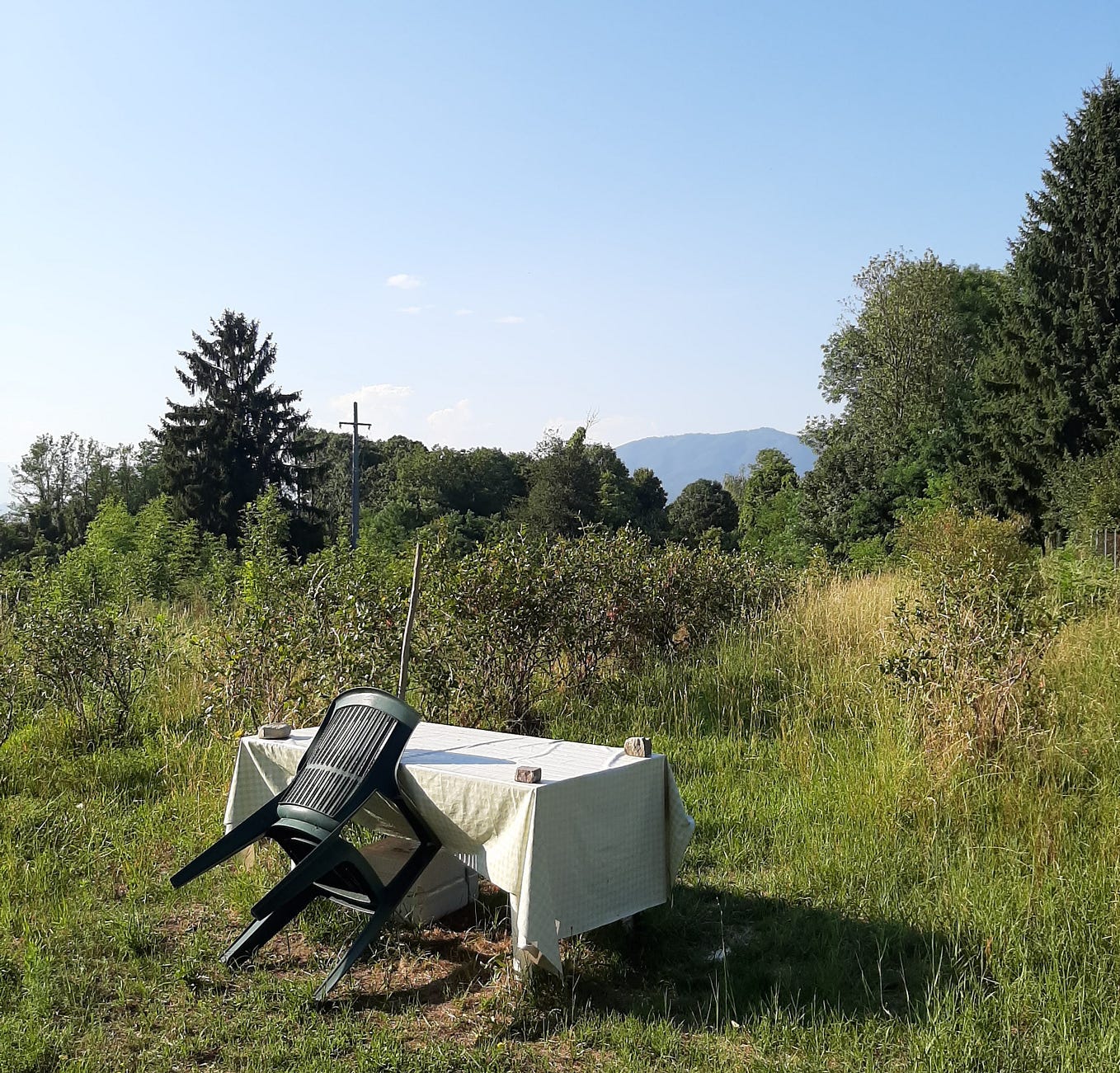 Hermann Hesse. Undicesimo pensierino | by Sara Catalano | May, 2024 ...