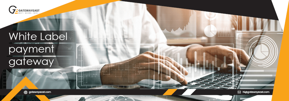White-Label Payment Gateway — More Advantages and Fewer Disadvantages ...