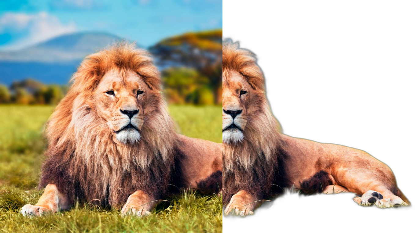 Android Docker Image. 🐳 Dockerizing the Android Development… | by ...