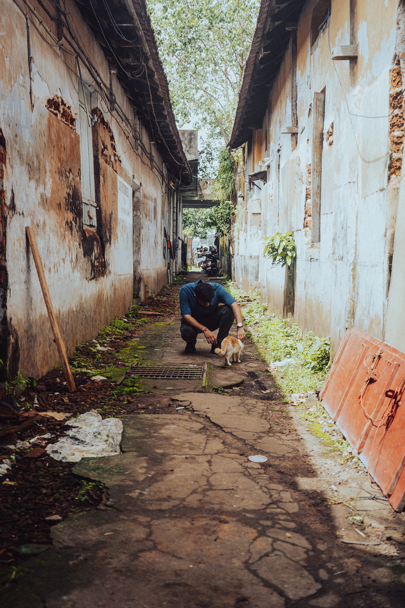 Life can feel easy, it does not have to be struggle. | by Vismay Shah ...