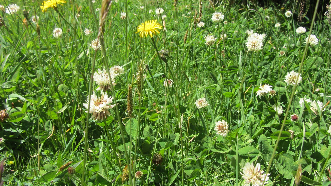 10 METROS. Los metros lo determinan todo. | by Josué Esquivel Retana | Medium