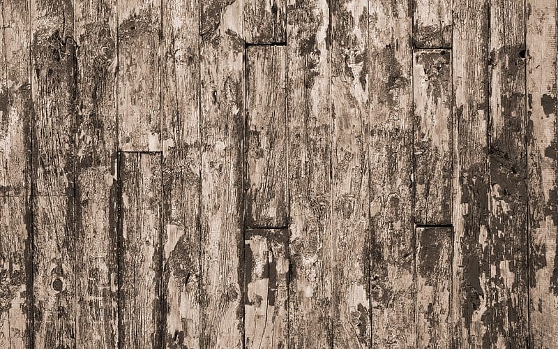 Carnaval Cajamarquino. Esta composición trata sobre una… | by Indira Guzman Osorio | Medium