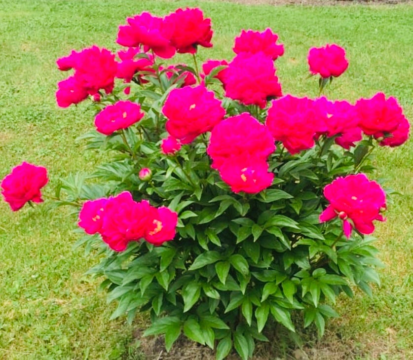 Five Qualities of Creativity That Represent Me | by Velvetstar64 ...