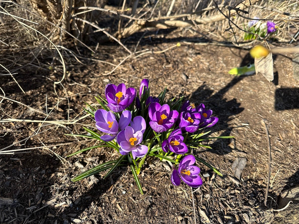 Generative AI Ethics. Key Considerations in the Age of… | by David Sweenor | Towards Data Science