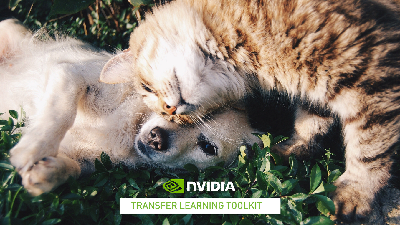 Faster YOLOv4 Performance with CUDA enabled OpenCV | by Akash James | Towards Data Science