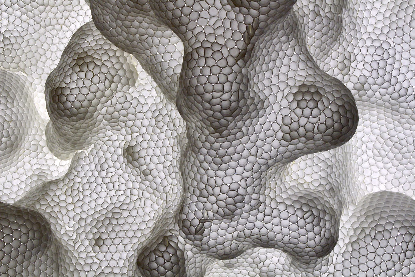 The Oracle of Kevin Bacon and the Theory of Degrees of Separation | by ...