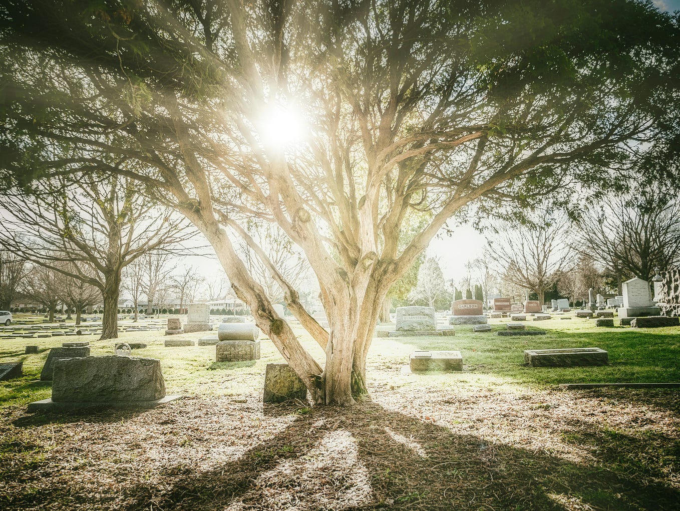 Finding Balance in an Unfair World | by Sarah Tinney | Penny Press ...