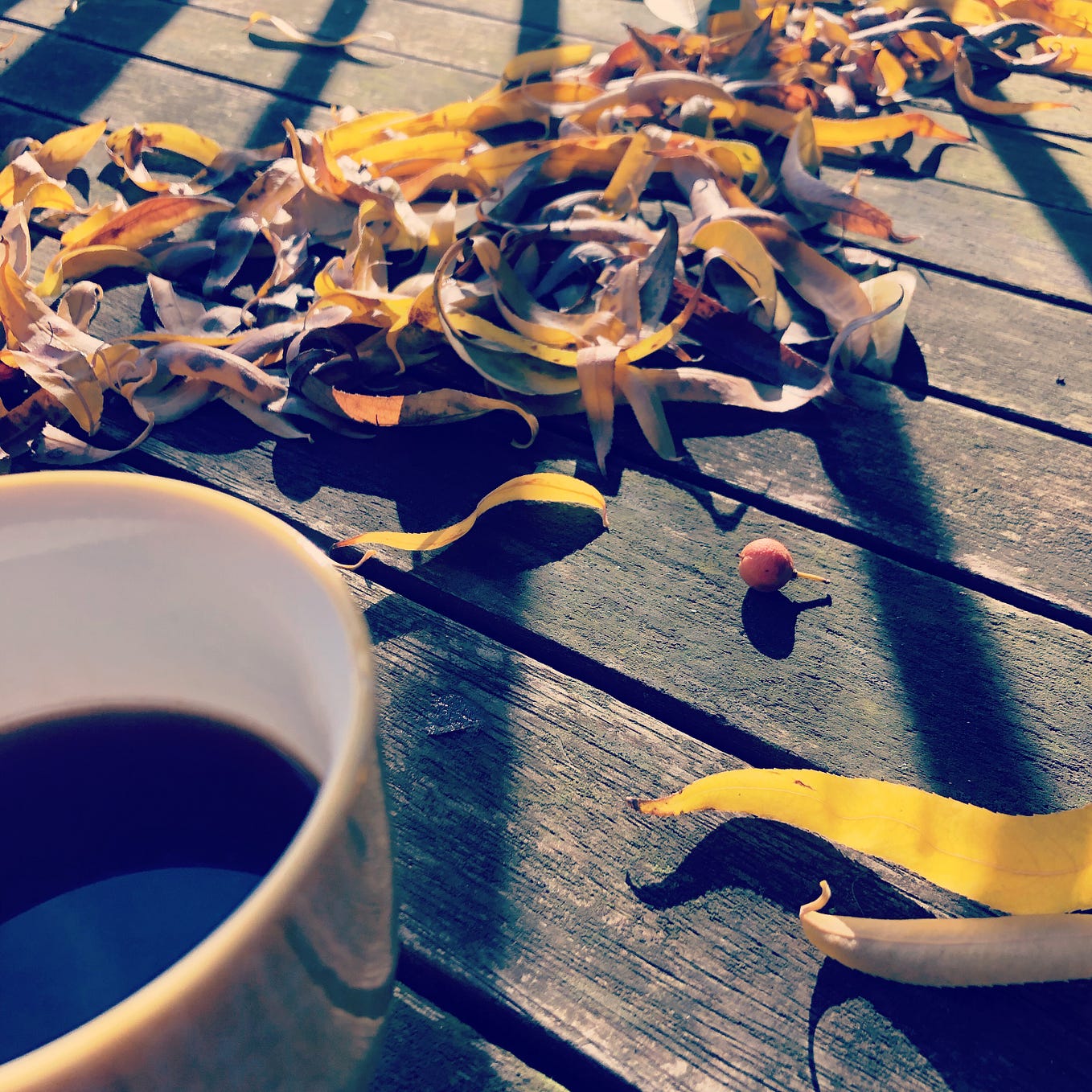 How Family History Became My Creative Muse | by Tracey | Share Your ...