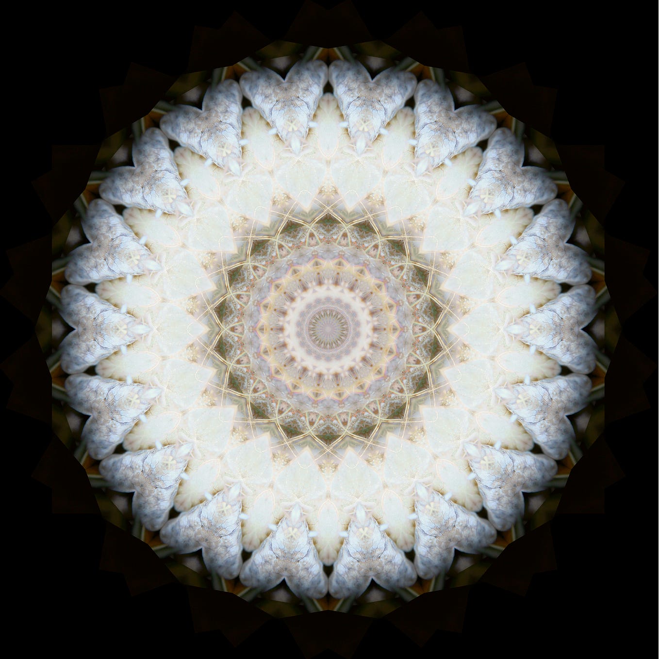 Negative Spaces - Nature Mandala 100 days - Medium