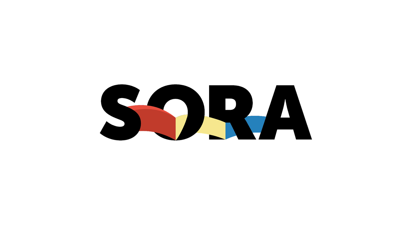 Sora: 2019 in Review. The story of Sora Schools is one of… | by Sora ...
