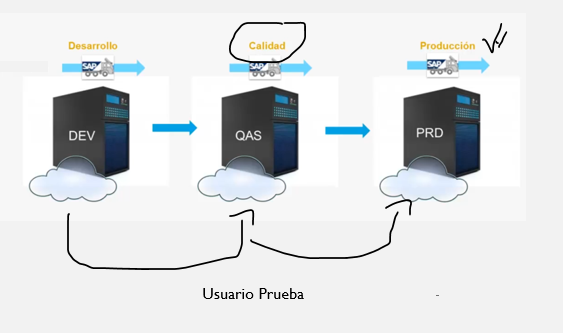Principales transacciones de SAP. No todas las transacciones conocemos ...