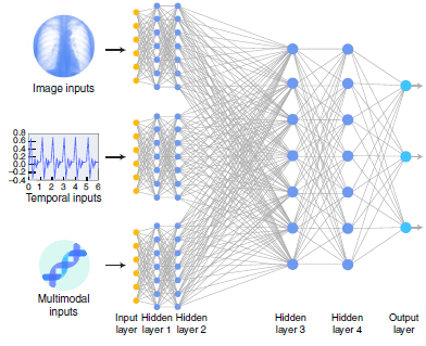 Google DeepMind -Improving the interpretability of “Black Box” in ...