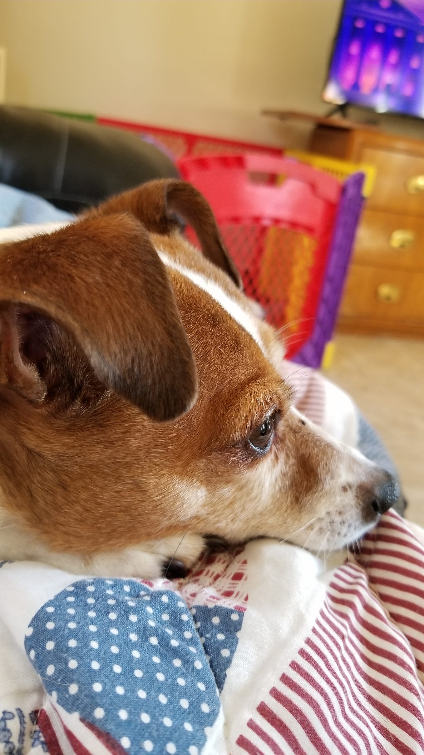 Thank you, Pierre. | by Sandy Giles-Brigando | Medium