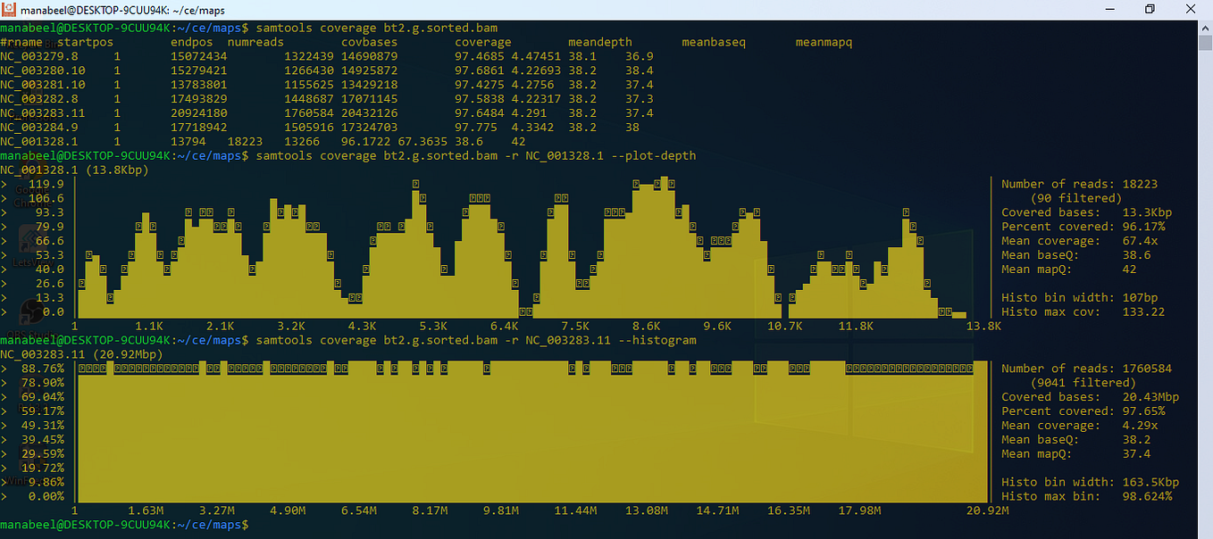 A Beginner’s Guide to Genomic Data Analysis: Genome Mapping using Bowtie2 | by Muhammad Abdullah ...