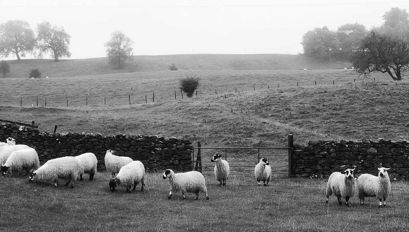 Goodbye - Alida Clement - Medium