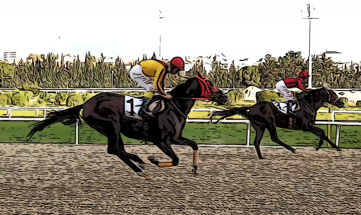 Can Derby Runs Become the Premier Metaverse Horse Racing Project? | by ...