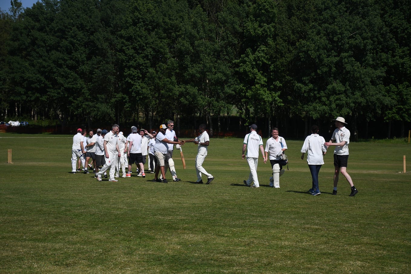 Introducing the Friendly Cricket Collective | by Friendly Cricket Collective | Medium