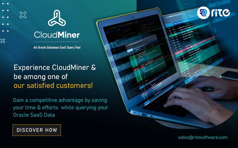 Oracle SaaS Fusion Query Tool - Rite Software - Medium