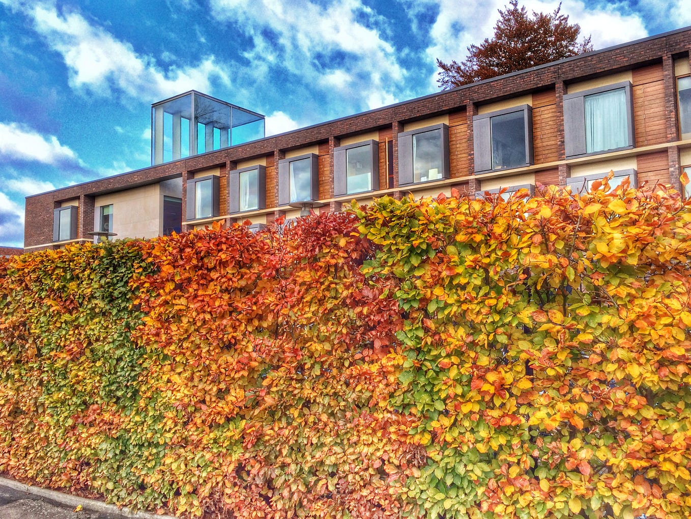 Super-curricular activities: Exploring Law in Year 12 | by Cambridge ...