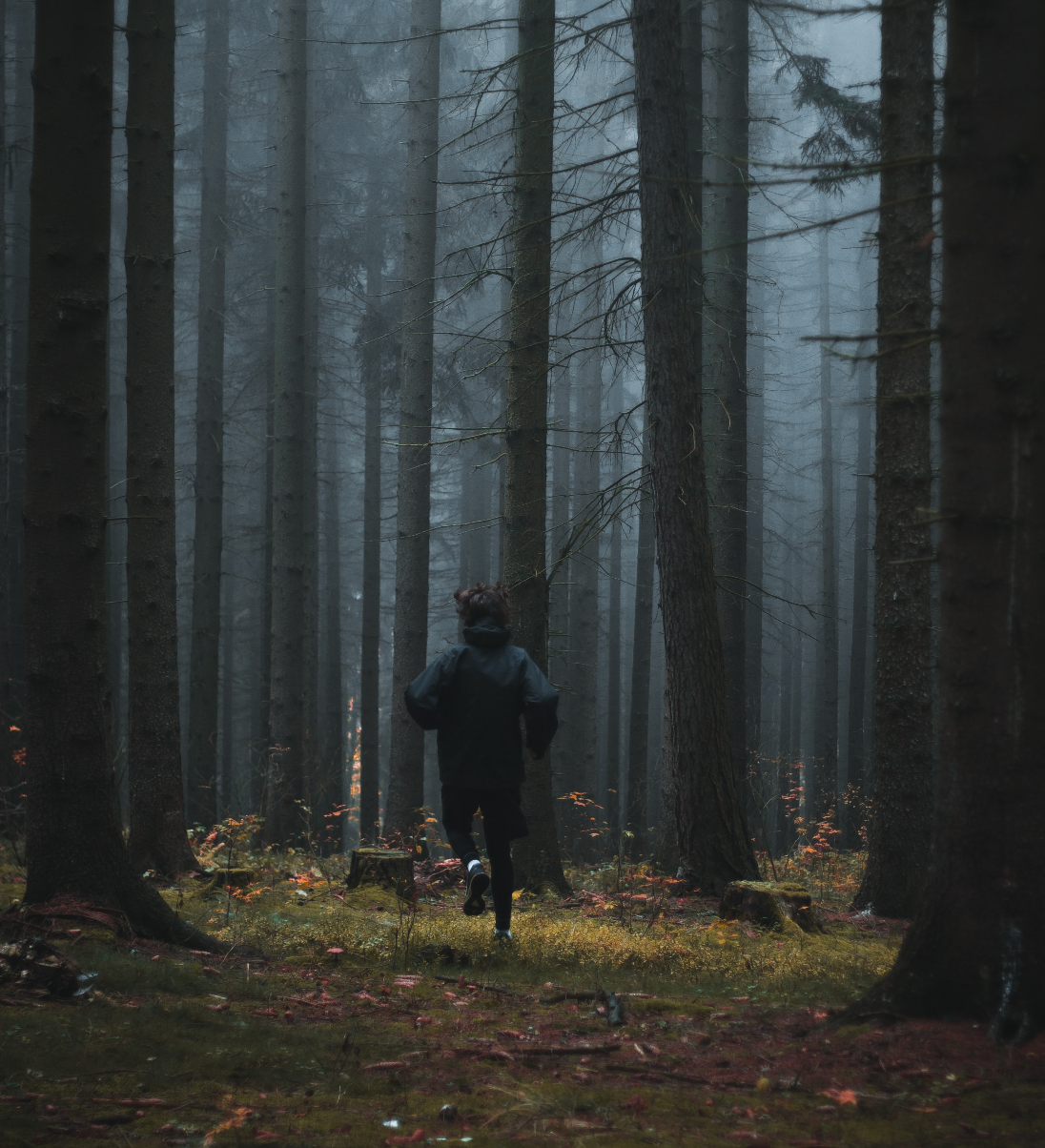 Transcendent Evolution Part 1 — Realization | by NOA | NOA solutions | Medium